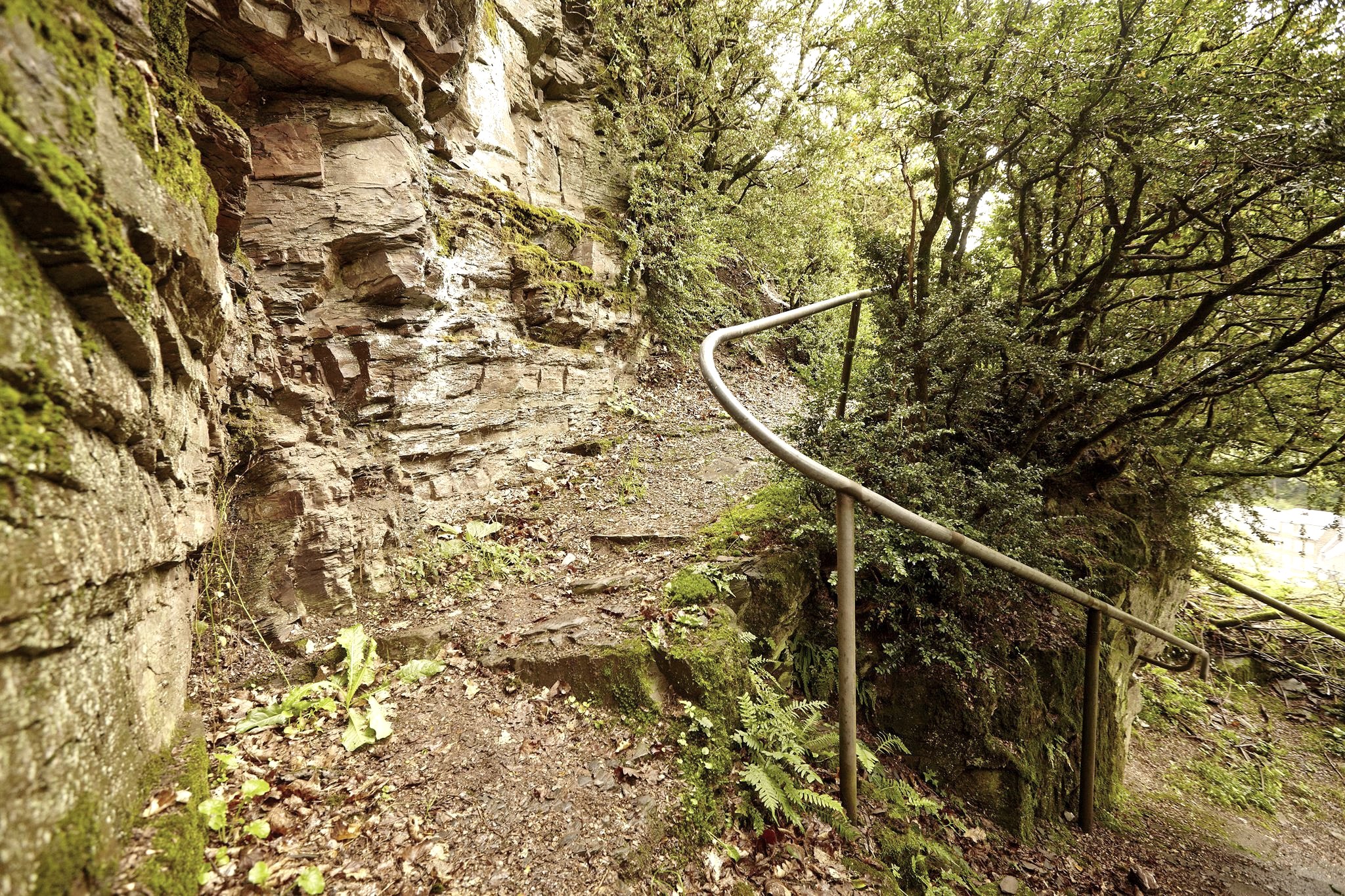 Waldbaden - NATUR AKTIV ERLEBEN