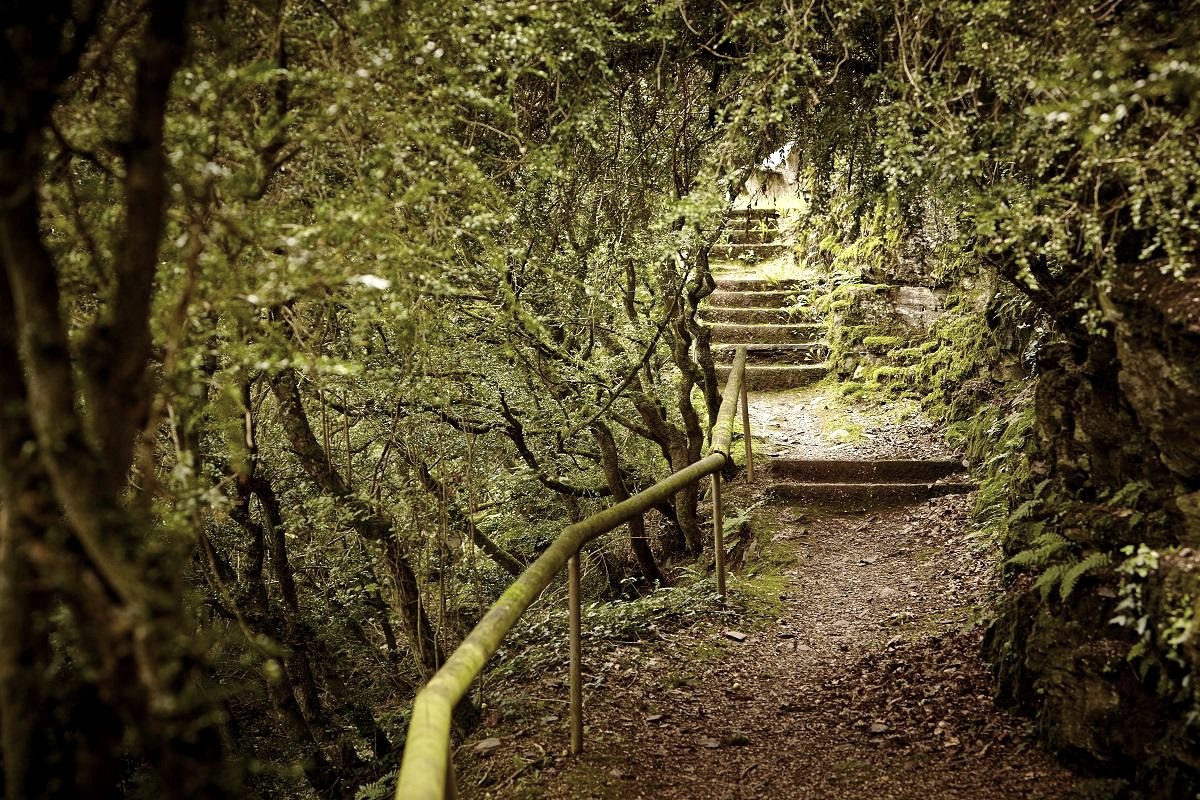 Naturerlebnis-Führung "Vulkanismus trifft Neuzeit" - NATUR AKTIV ERLEBEN